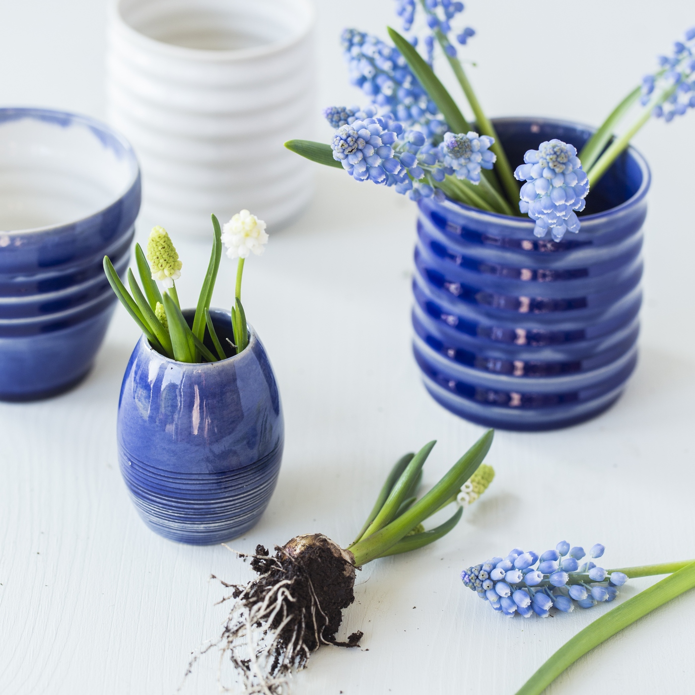 BOTZ Glasuren: Inspirationen Detailseite